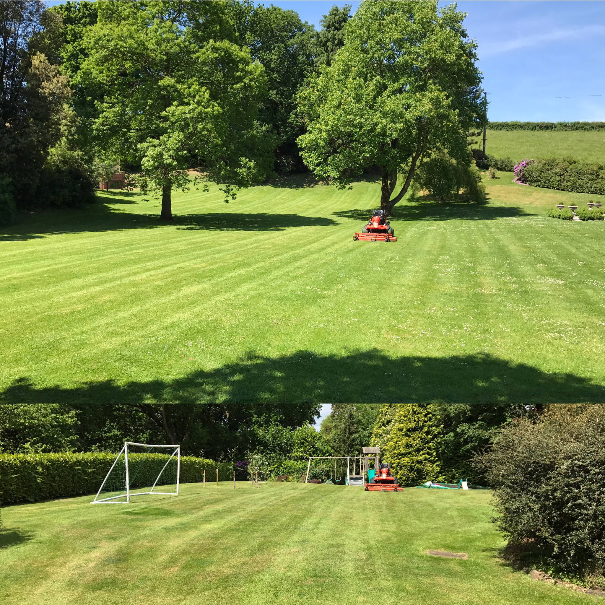 Surrey Total Lawn Care | Total Grass CuttingGrass Cutting Guildford ...